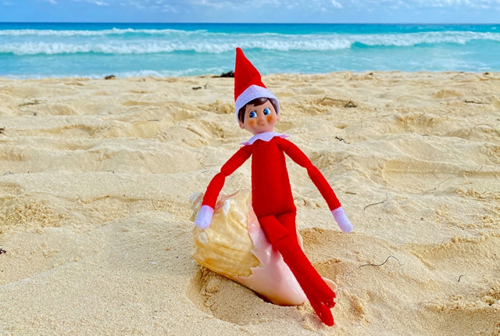 Where’s Roy? our Mexican Caribbean Elf - Blog