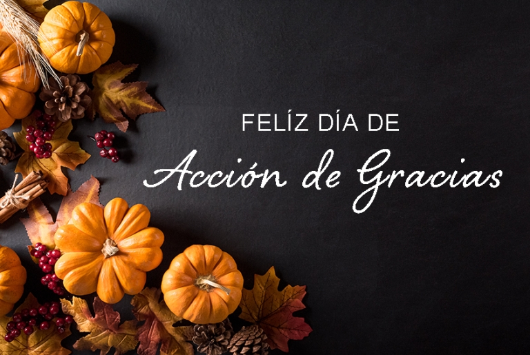 Feliz Día de Acción de Gracias - Blog